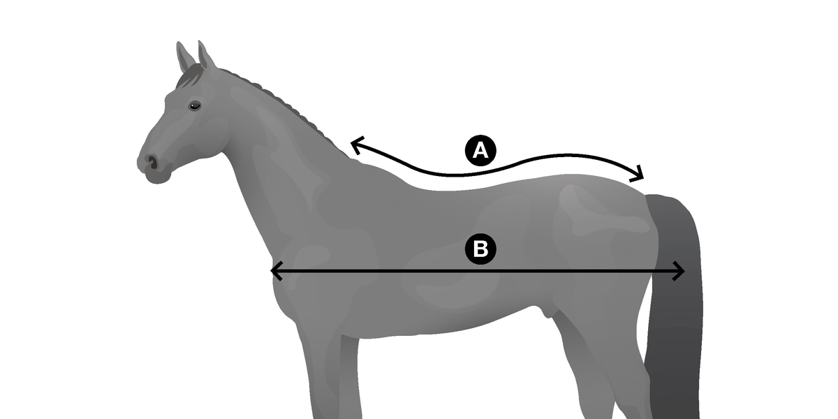 HORSE RUGS (VARIOUS MODELS) – Back on Track Nederland